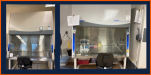 Biological Safety Cabinets and Laminar Flow Cabinets – Auburn ...